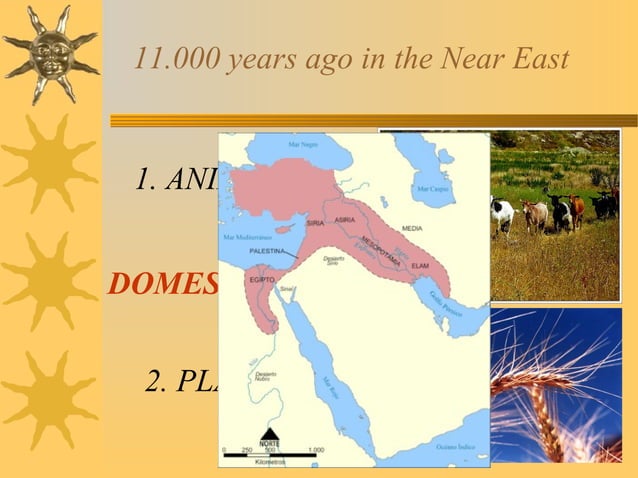 Neolithic | PPT | Agriculture | Industries