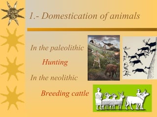 Neolithic | PPT | Agriculture | Industries