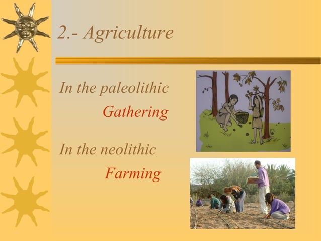 Neolithic | PPT | Agriculture | Industries