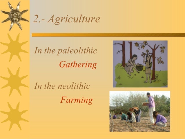 Neolithic Revolution Tools