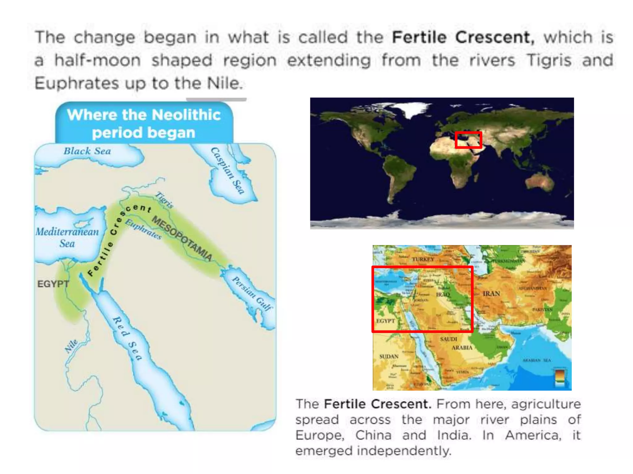 Neolithic Age | PPTX