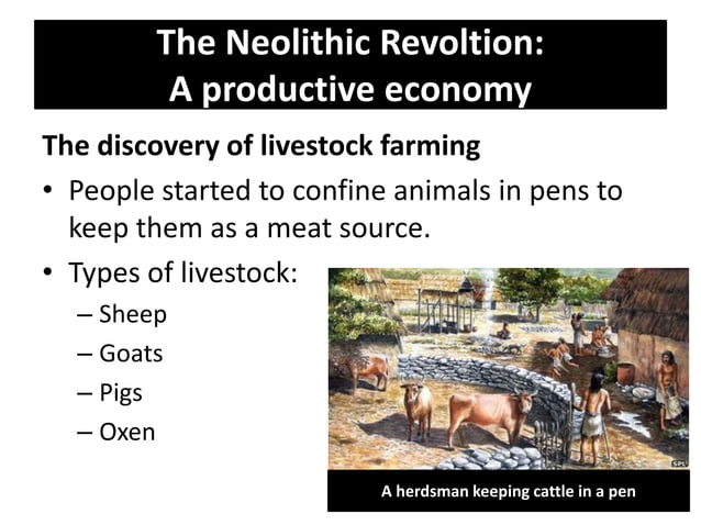 Neolithic Age | PPTX