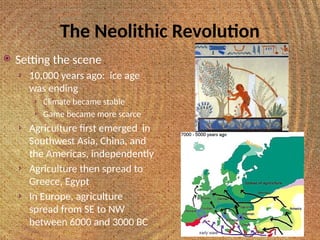 neolithic-revolution-powerpoint.powerpoint presentation | PPTX
