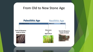 Neolithic age | PPT