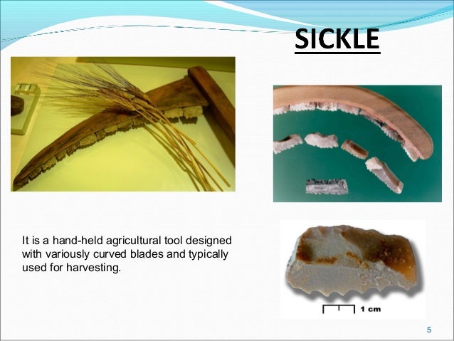 Neolithic Age Farming Tools Unit 1 : Neolithic Revolution Unit One