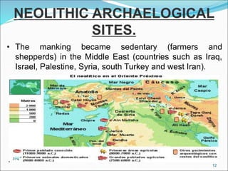 NEOLITHIC AGE | PPTX