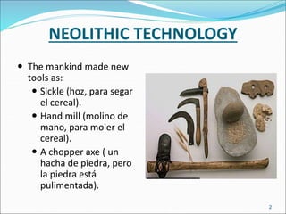 Neolithic Era Tools