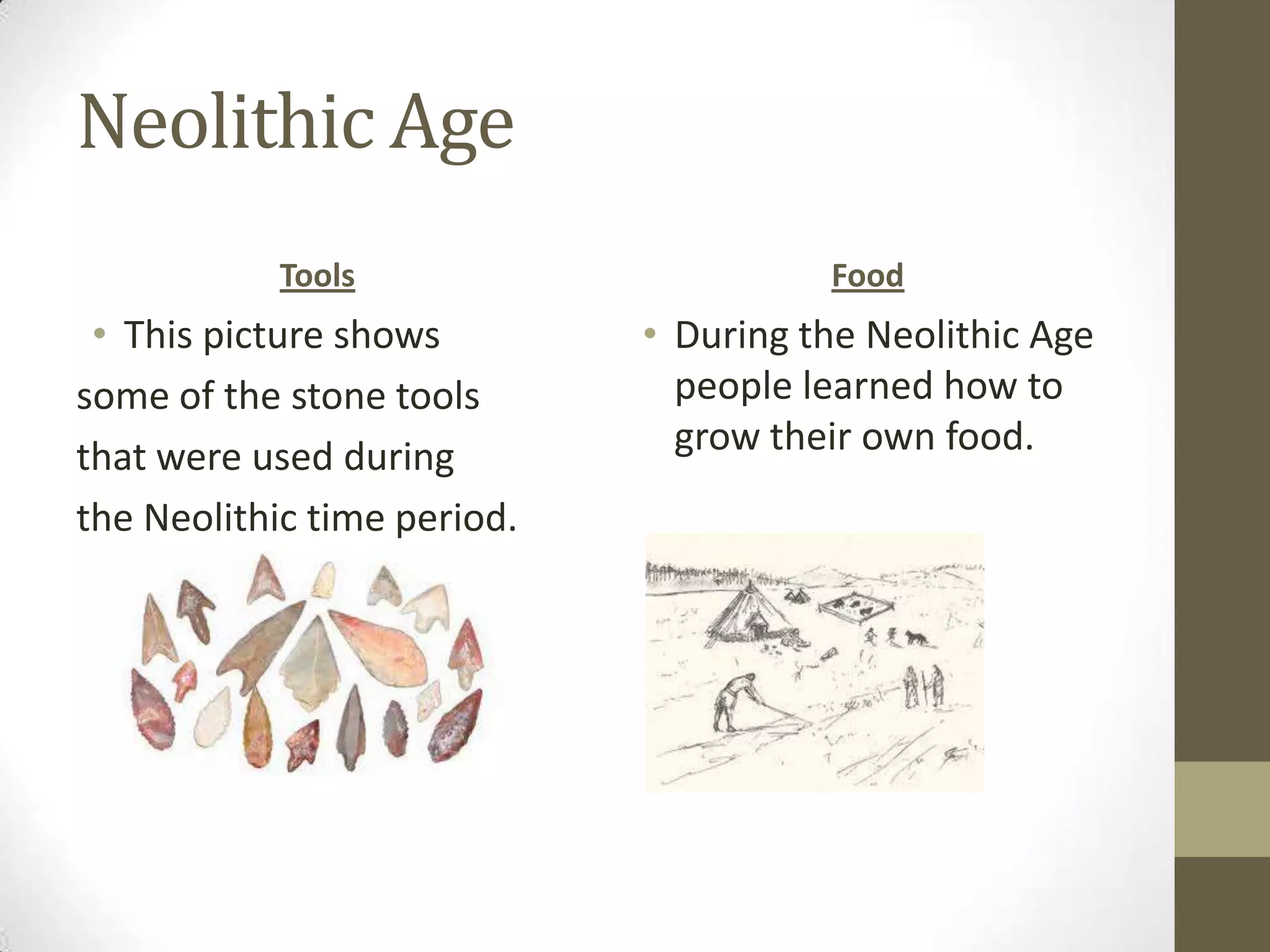 Prehistory project | PPT