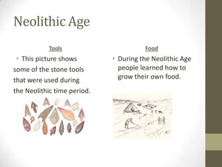 Prehistory project | PPT