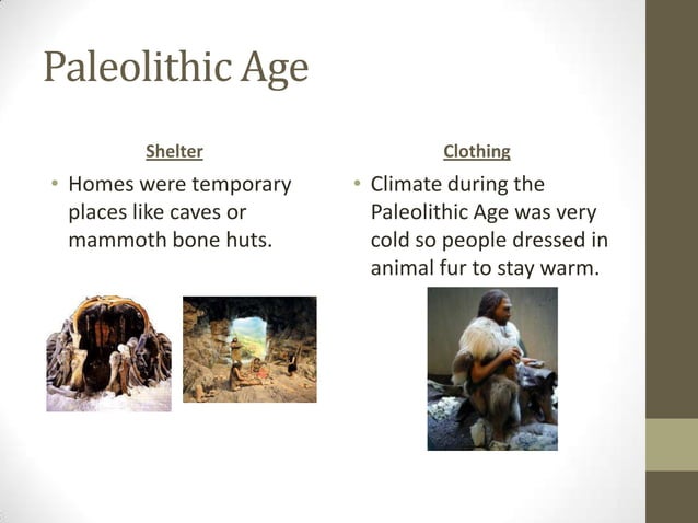 Prehistory project | PPT