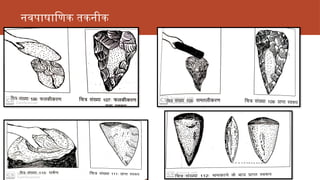 Neolithic Culture of india, north south.. | PPTX
