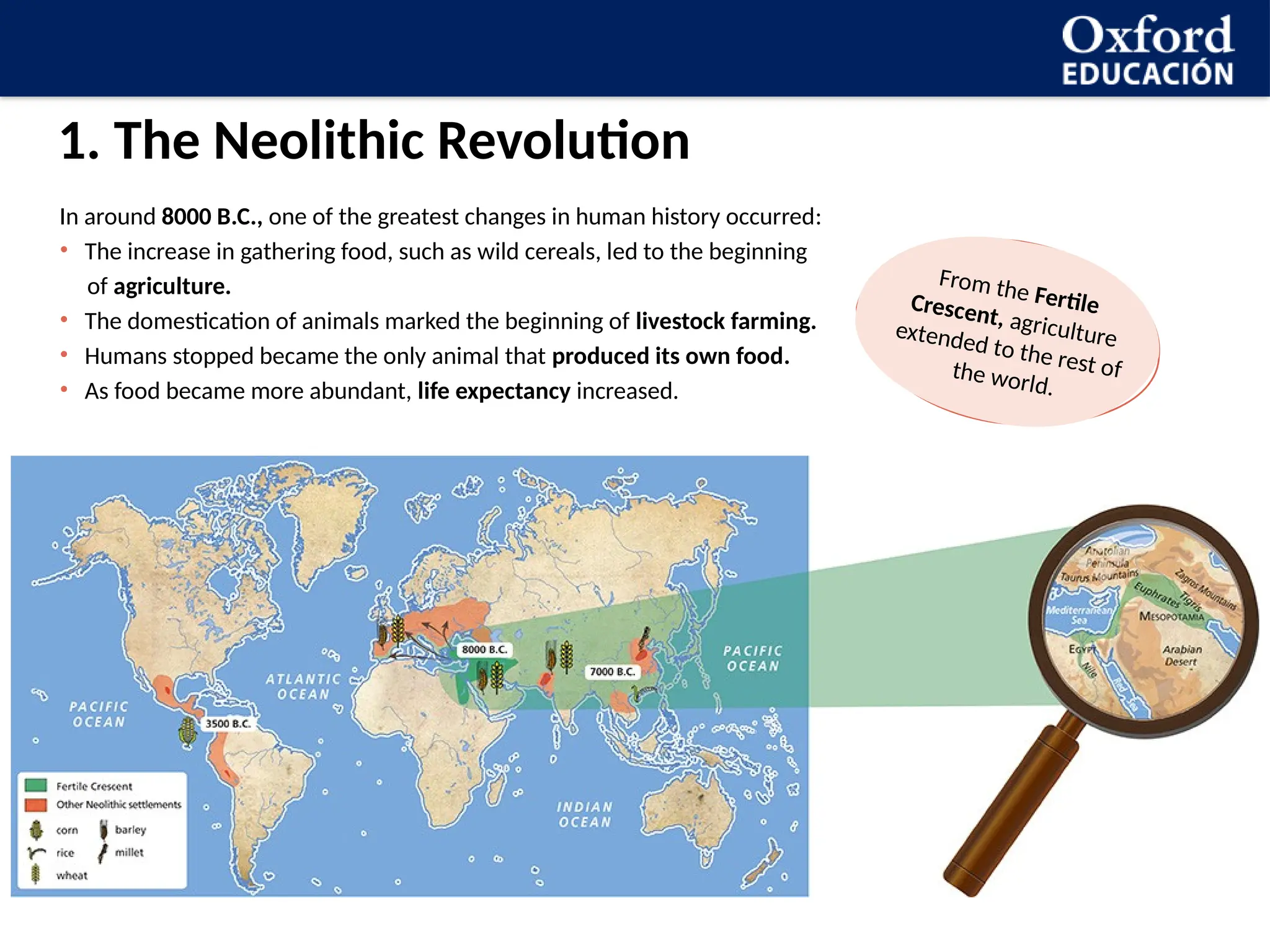 neolithic_presentation Bronze and iron ages.pptx
