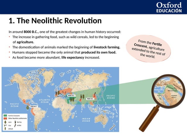 neolithic_presentation Bronze and iron ages.pptx