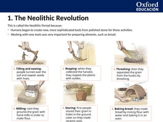 neolithic_presentation Bronze and iron ages.pptx