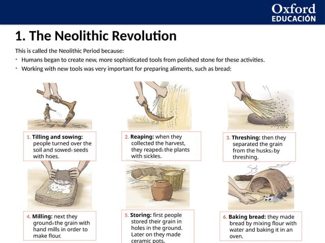 neolithic_presentation Bronze and iron ages.pptx