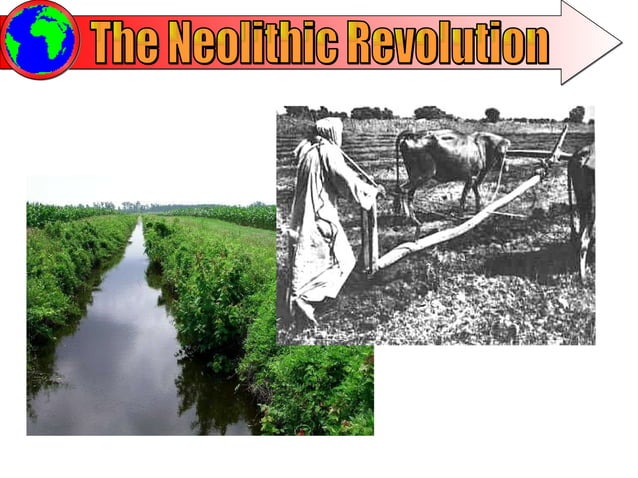 Neolithic revolution | PPT | Agriculture | Industries