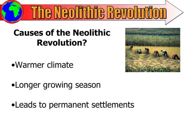 Neolithic revolution | PPT | Agriculture | Industries