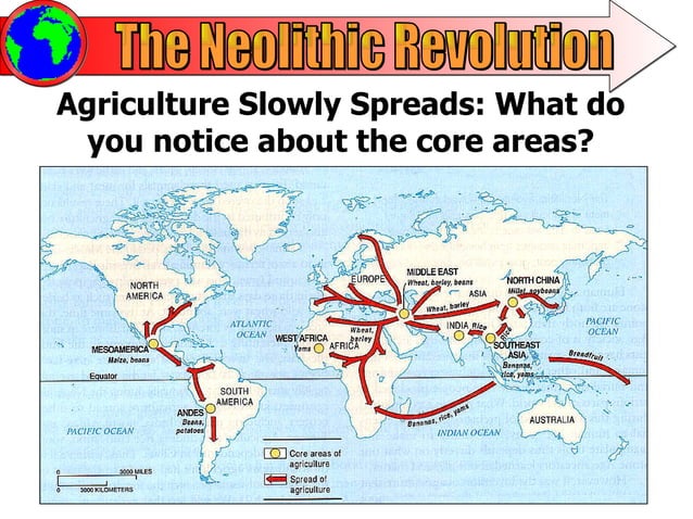 Neolithic revolution | PPT | Agriculture | Industries
