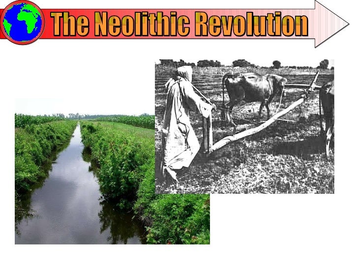 Neolithic Revolution Wikipedia