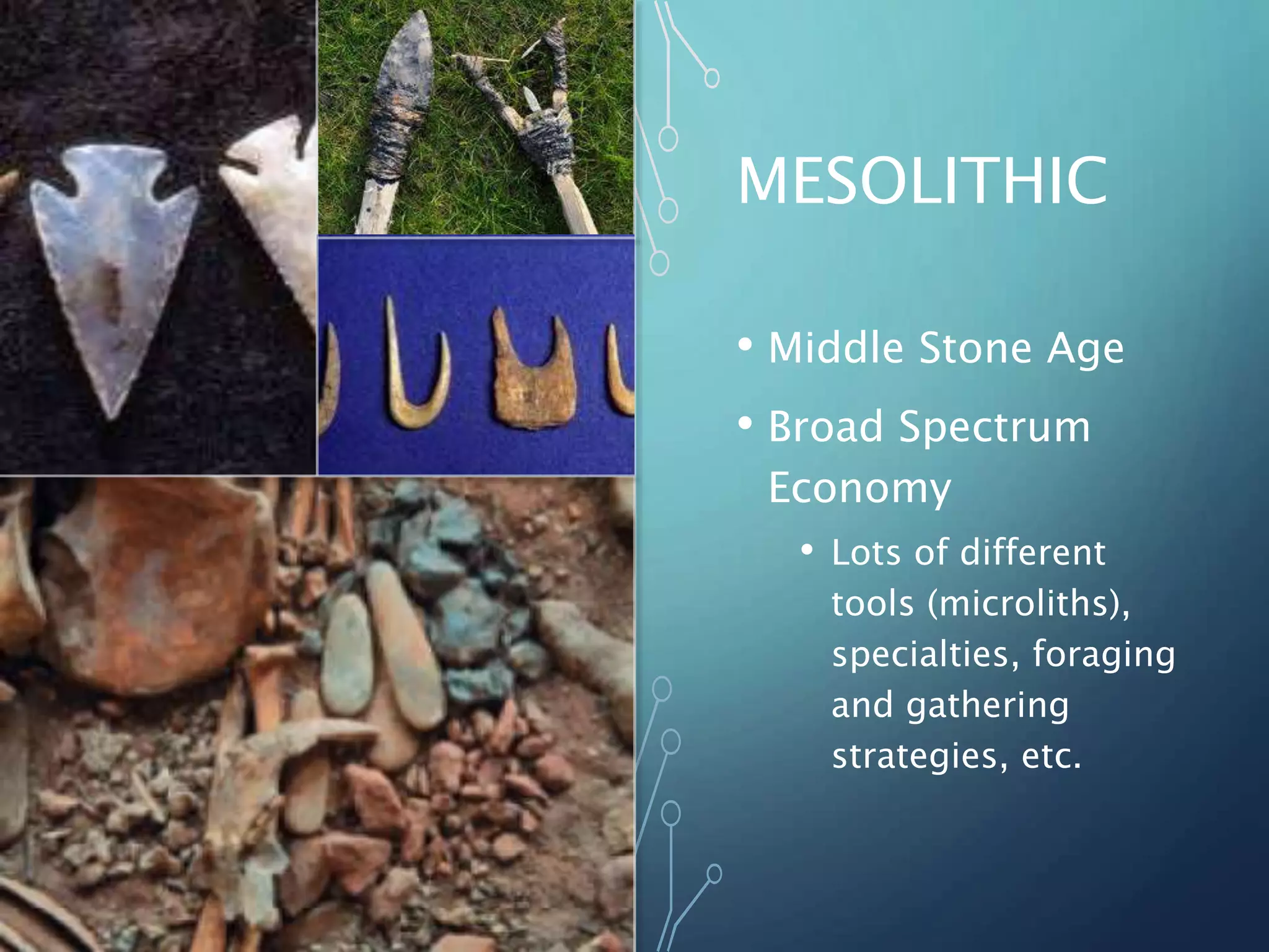 Neolithic Revolution | PPTX