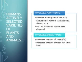 Neolithic Revolution | PPTX