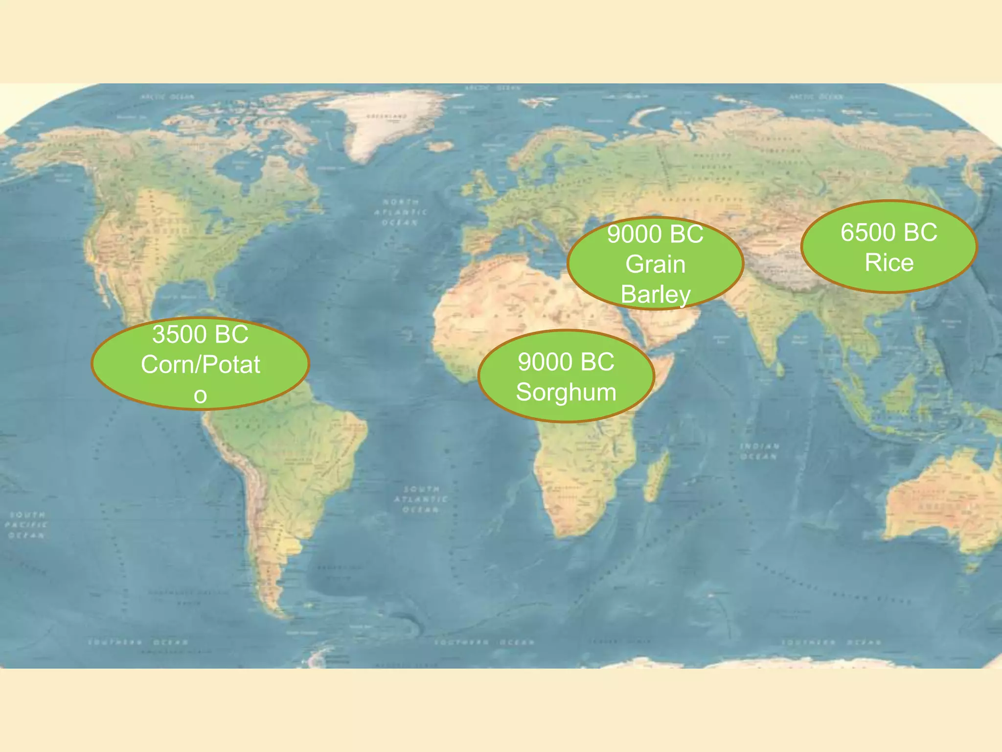 World History - Neolithic Revolution | PPTX