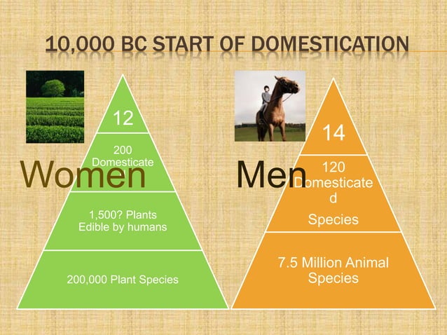 World History - Neolithic Revolution | PPTX | Agriculture | Industries