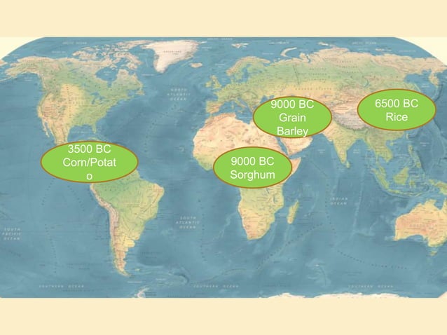 World History - Neolithic Revolution | PPTX | Agriculture | Industries