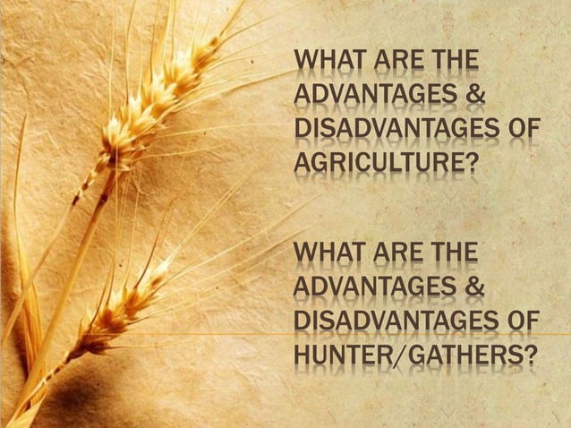 World History - Neolithic Revolution | PPTX | Agriculture | Industries