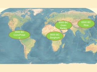 Neolithic Revolution Map