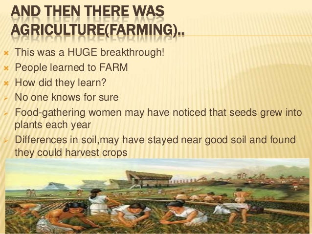 Neolithic Age Definition Characteristics Time Period