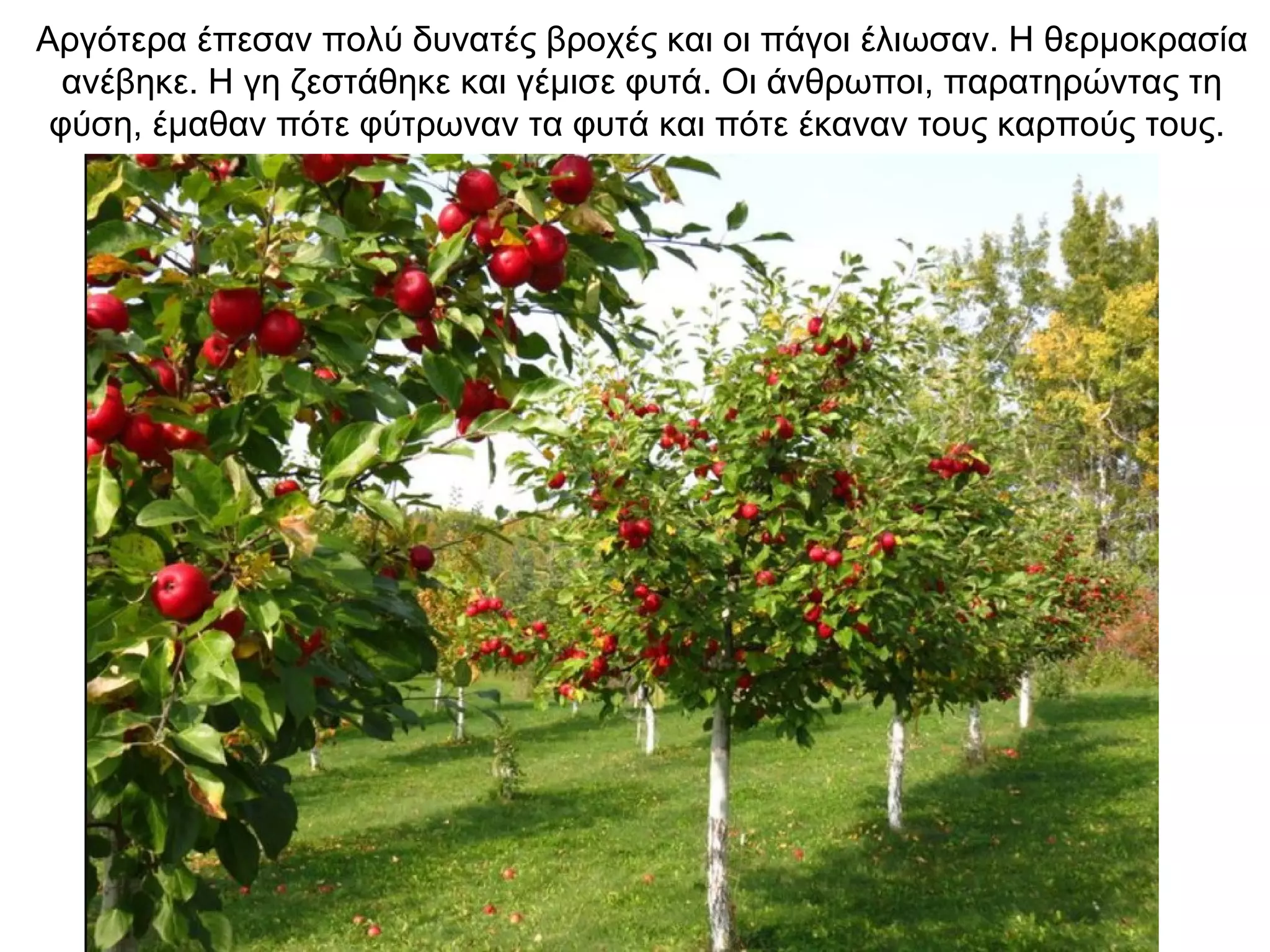 Νεολιθική εποχή | PPT | Free Download