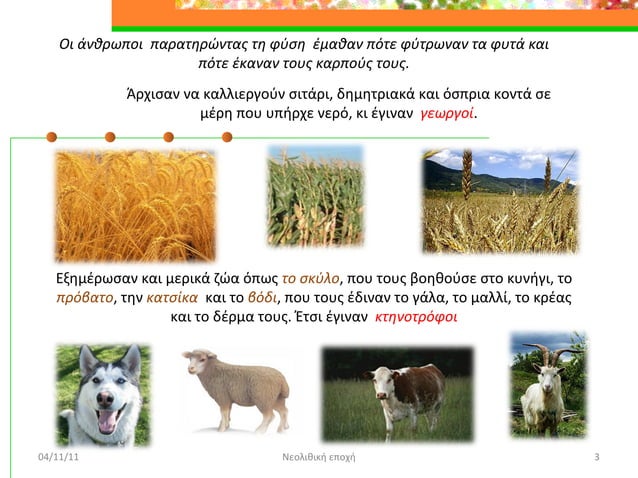 Neolithiki epoxi[12 | PPT