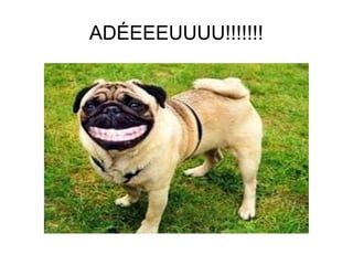 Neolitic airan jessica b | ODP