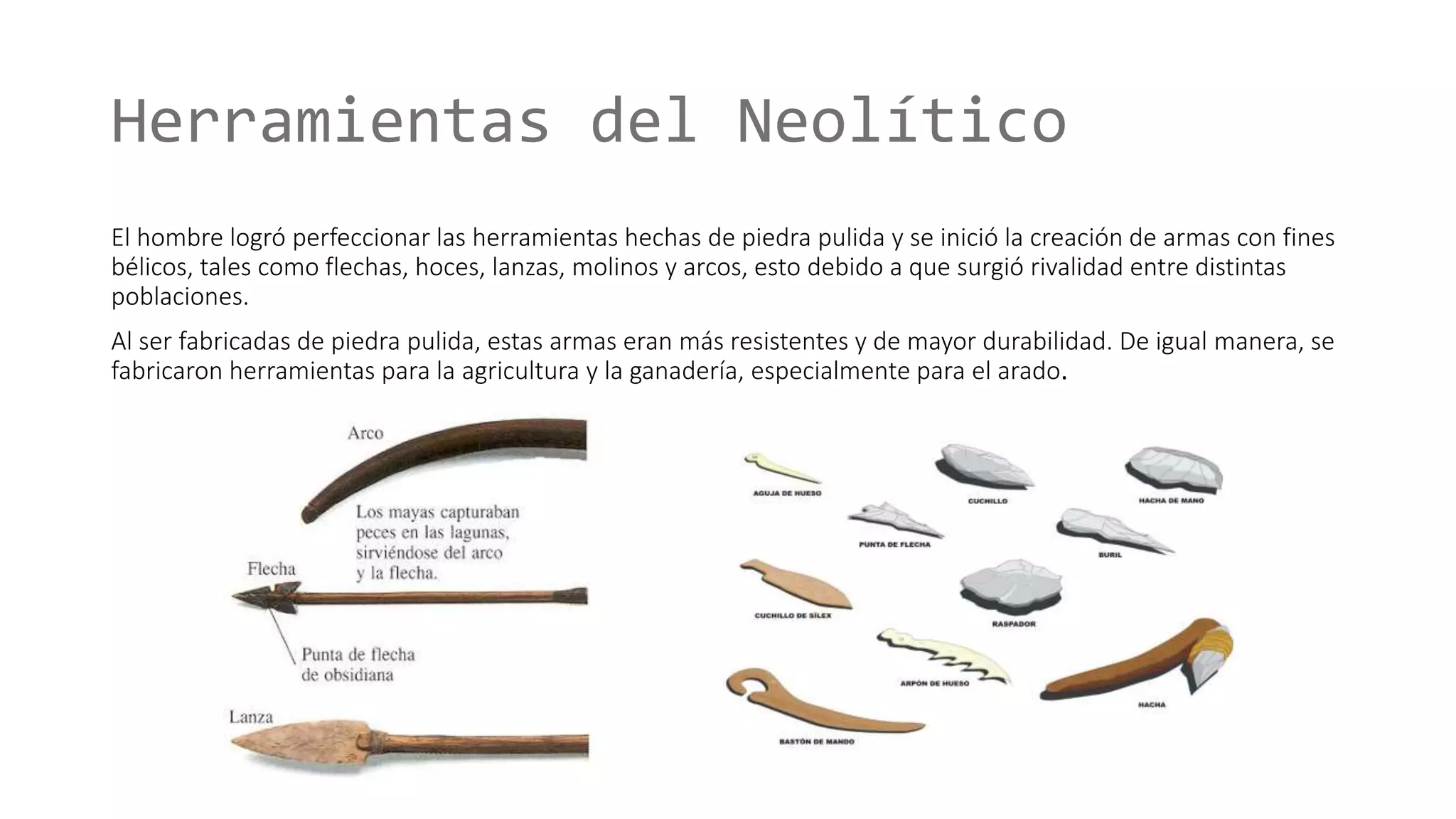 El Neolítico y la prehistoria(visto desde arquitectura) | PPT