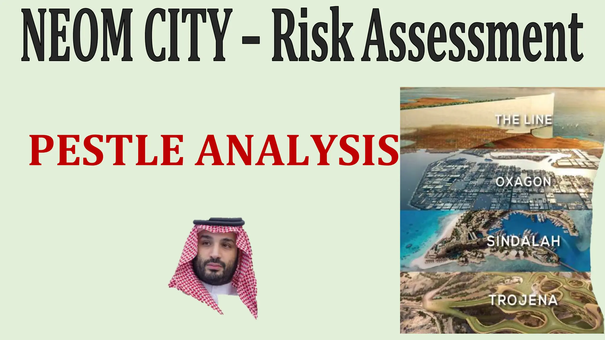 NEOM City Project Risk Assessment using PESTLE Analysis.pptx