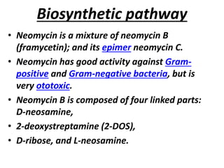 Neomycin | PPTX