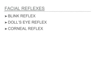 NEONATAL REFLEXES | PPTX | Parenting Babies and Toddlers | Parenting