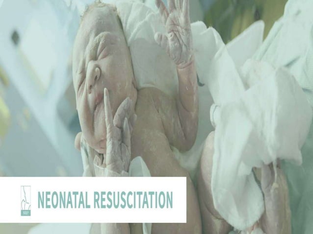 Neonatal | PPTX