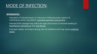 Neonatal Infections | PPTX