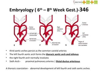 Neonatal coarc2 | PPT
