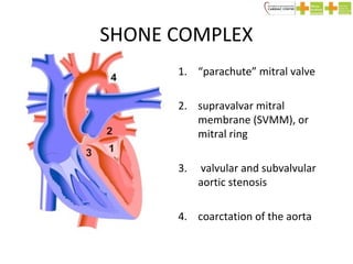Neonatal coarc2 | PPT