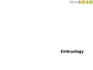 Neonatal coarc2 | PPT | Heart and Cardiovascular Diseases | Diseases ...