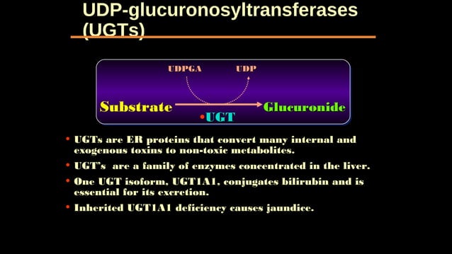 Neonatal hyperbilirubinemia management | PPT | Blood Disorders ...