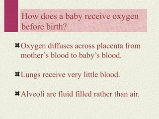 Neonatal resuscitation | PPT