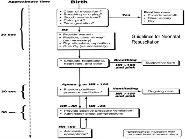 Neonatal resuscitation – DR. TRYNAADH