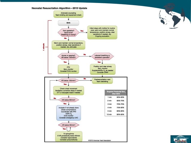 NRP - PRESENTATION ON Neonatal-Resuscitation.pdf
