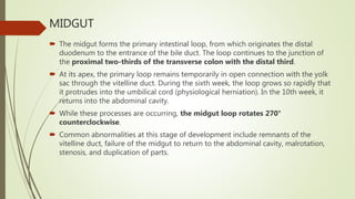Neonatal abdominal emergencies | PPTX