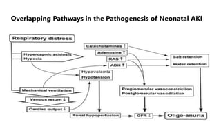 Neonatal Acute Renal Failure From NNU Aberdeen Maternity Hospital ...
