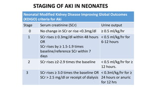 NEONATAL AKI.pptx